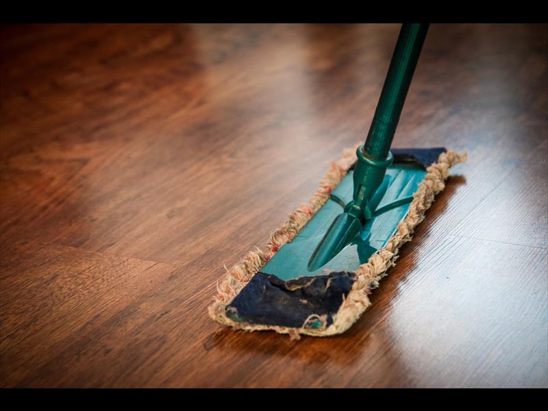 What your domestic worker contract must contain | Rekord