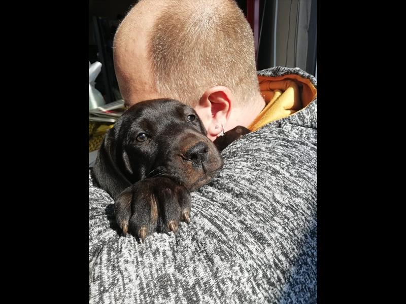 Nuwe initiatief vir diere in die Moot | Rekord