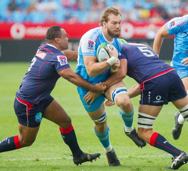 Several Springboks return to strengthen Bulls against Reds | Rekord