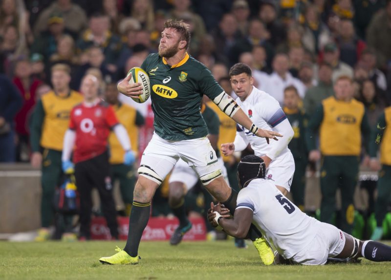 Bulls number eight Vermeulen to lead Springboks against New Zealand ...