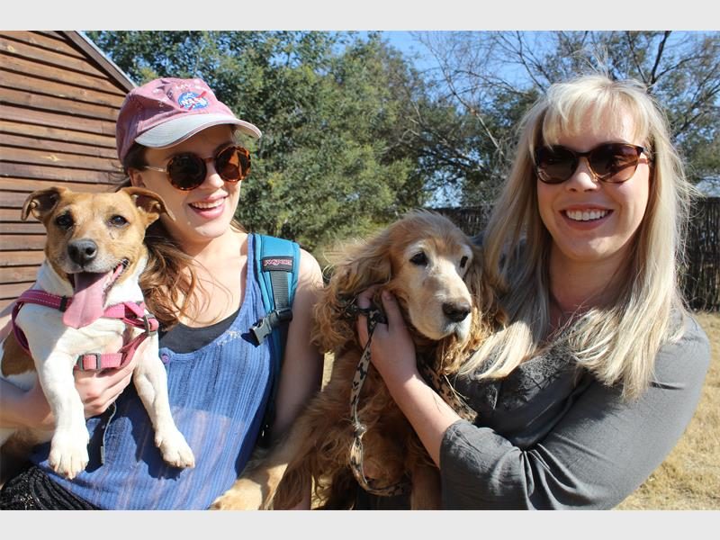 Pet lovers came to the Tshwane SPCA Wag A Walk | Rekord