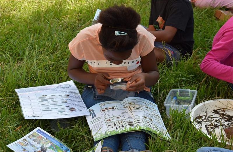 World Wetland Day celebrated in the Moot | Rekord