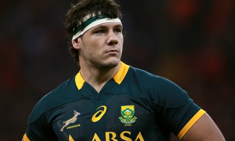 Springbok loose forward Marcell Coetzee joins Bulls | Rekord