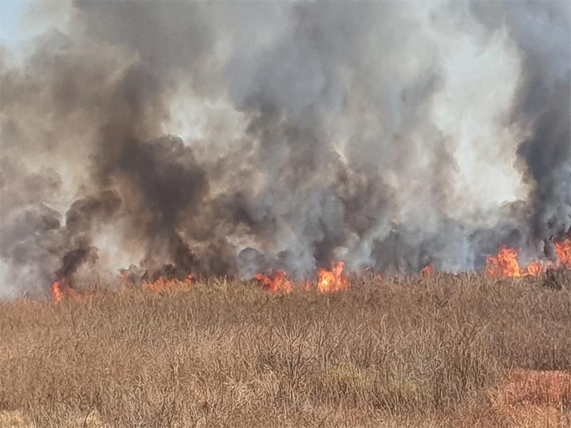 Smoke from veld fire cause havoc on north road | Rekord