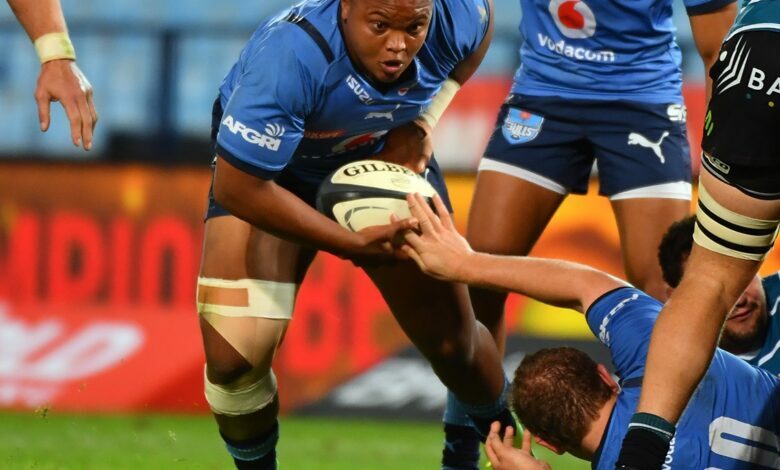 Young Bulls prop in spotlight after great performances | Rekord