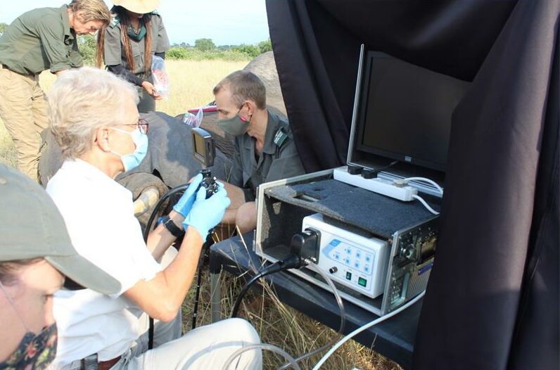 Reverse zoonotic TB transmission prompts testing of elephants at Kruger ...