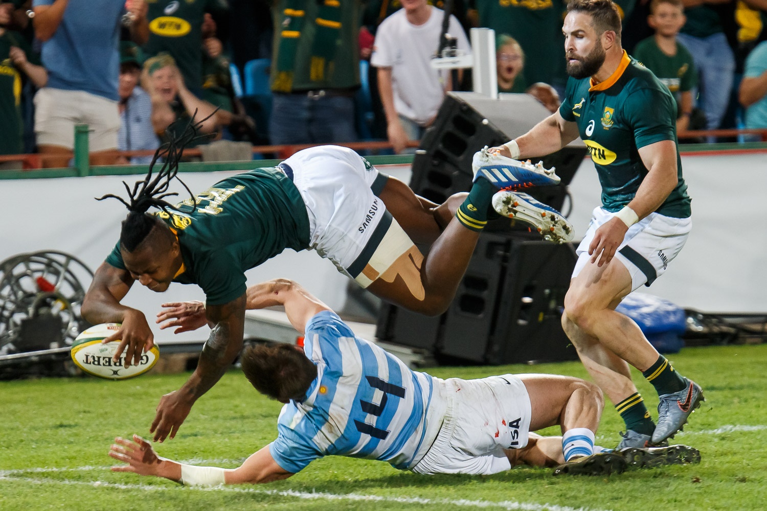 Star Springbok winger to join Bulls for new season | Rekord