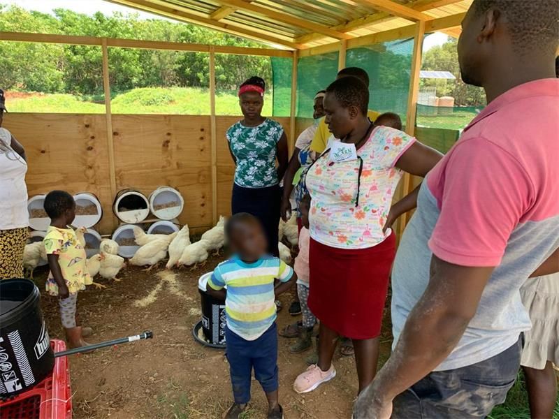 Veggie garden gives hope to women of Cemetery View | Rekord