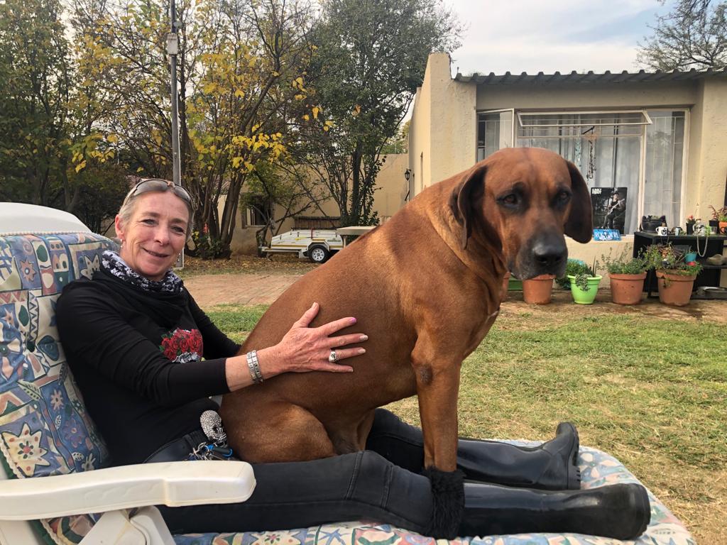 Dog goes missing in Kloppersbos | Rekord