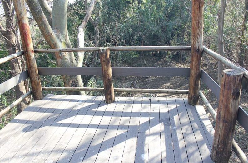 Bishops Bird Park viewing deck open to the public | Rekord