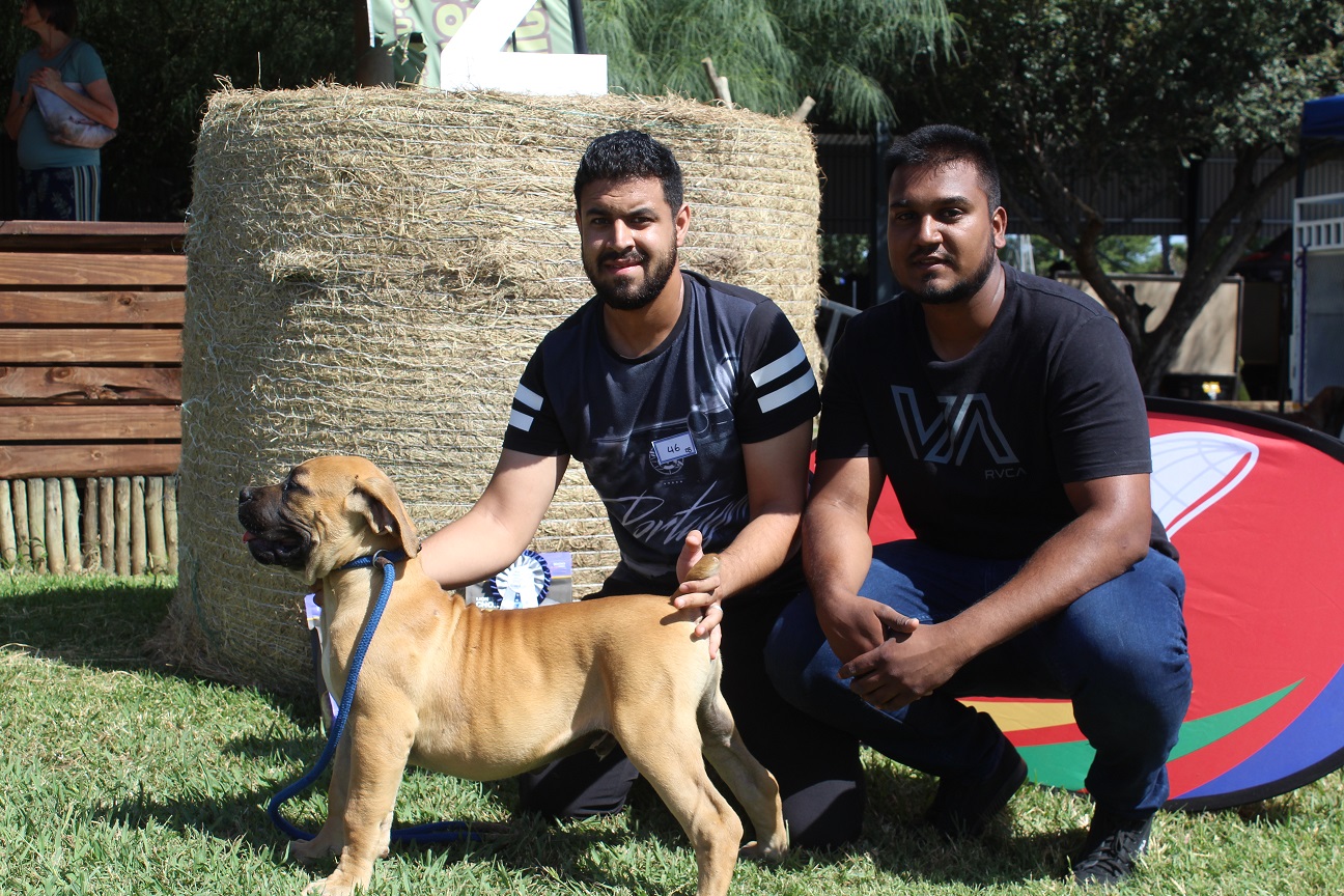 Boerboel Breeder show | Rekord