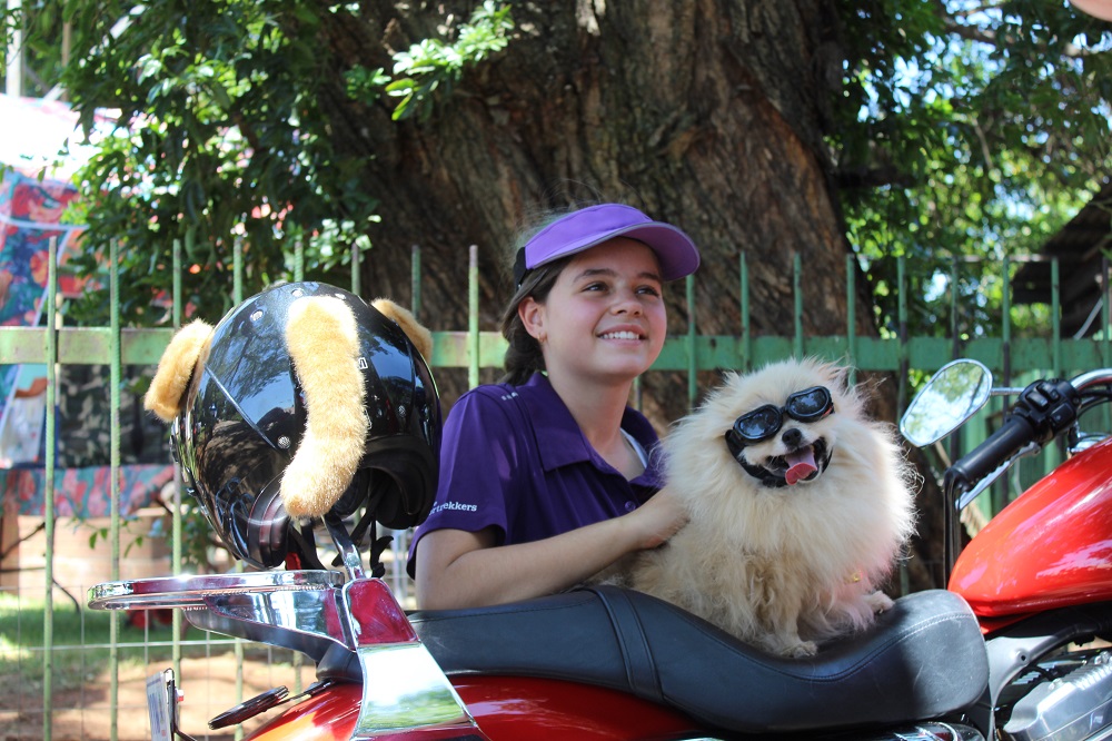 Wollies celebrates 10-year anniversary | Rekord