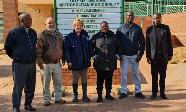 Metro seeks mosquito infestation solution in Winterveldt | Rekord
