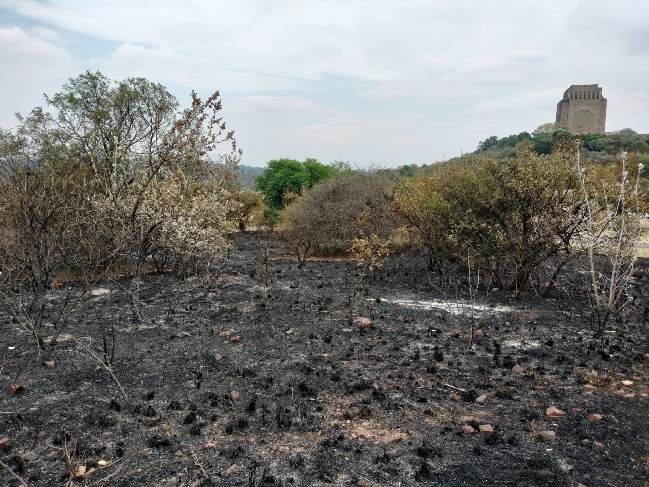 No damage to property following veld fire at Voortrekker Monument | Rekord