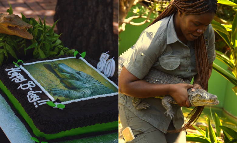 Dieretuin se oudste dier word 50 | Rekord