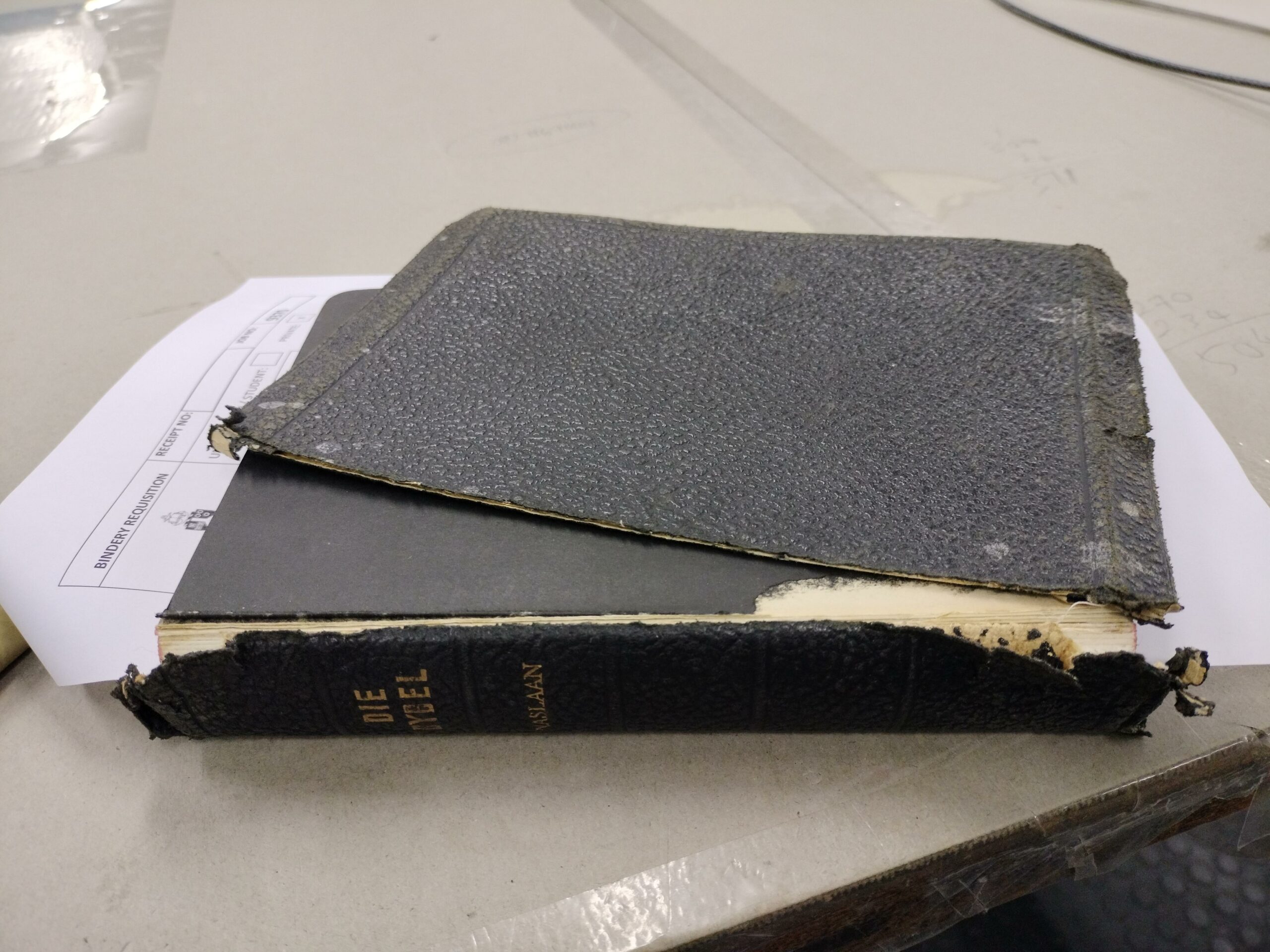 Tukkies se boekdokters herstel geliefde boeke | Rekord