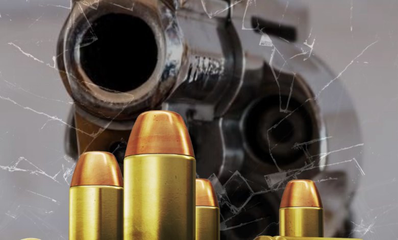 Moot police in search of six suspects after robbery at car dealership ...