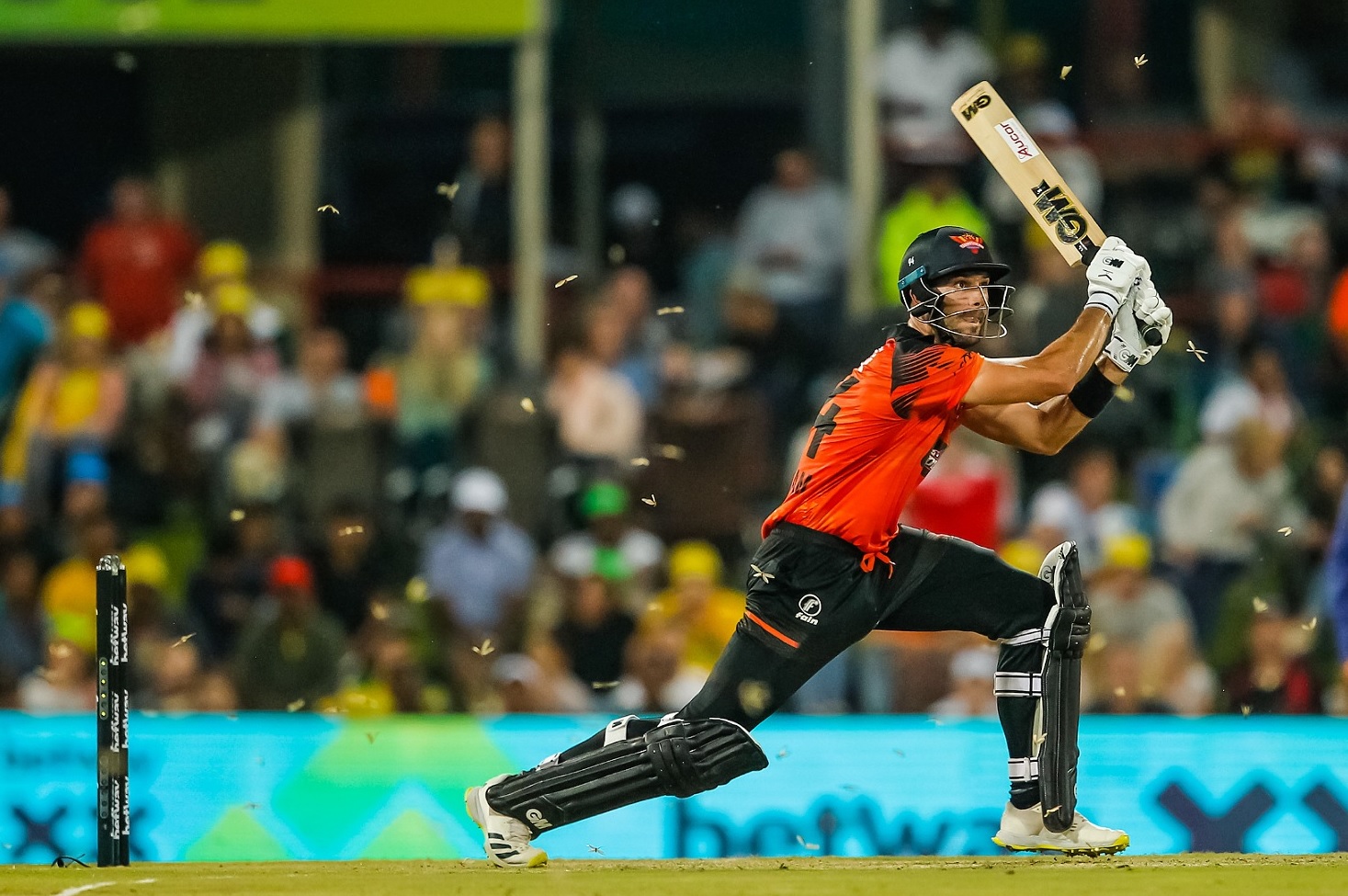 SA20 remains biggest prize in SA cricket | Rekord