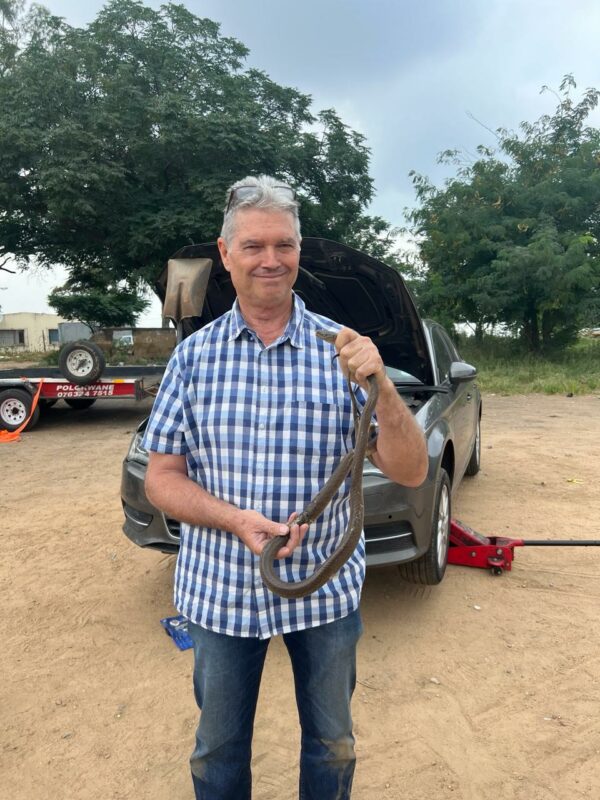 Snake catcher lucky to survive Black Mamba bite | Rekord