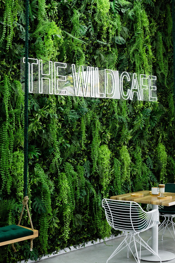 Kom geniet 'n avontuur van smaak by The Wild Café | Rekord