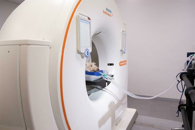 UP unveils largest CT scanner in South Africa | Rekord