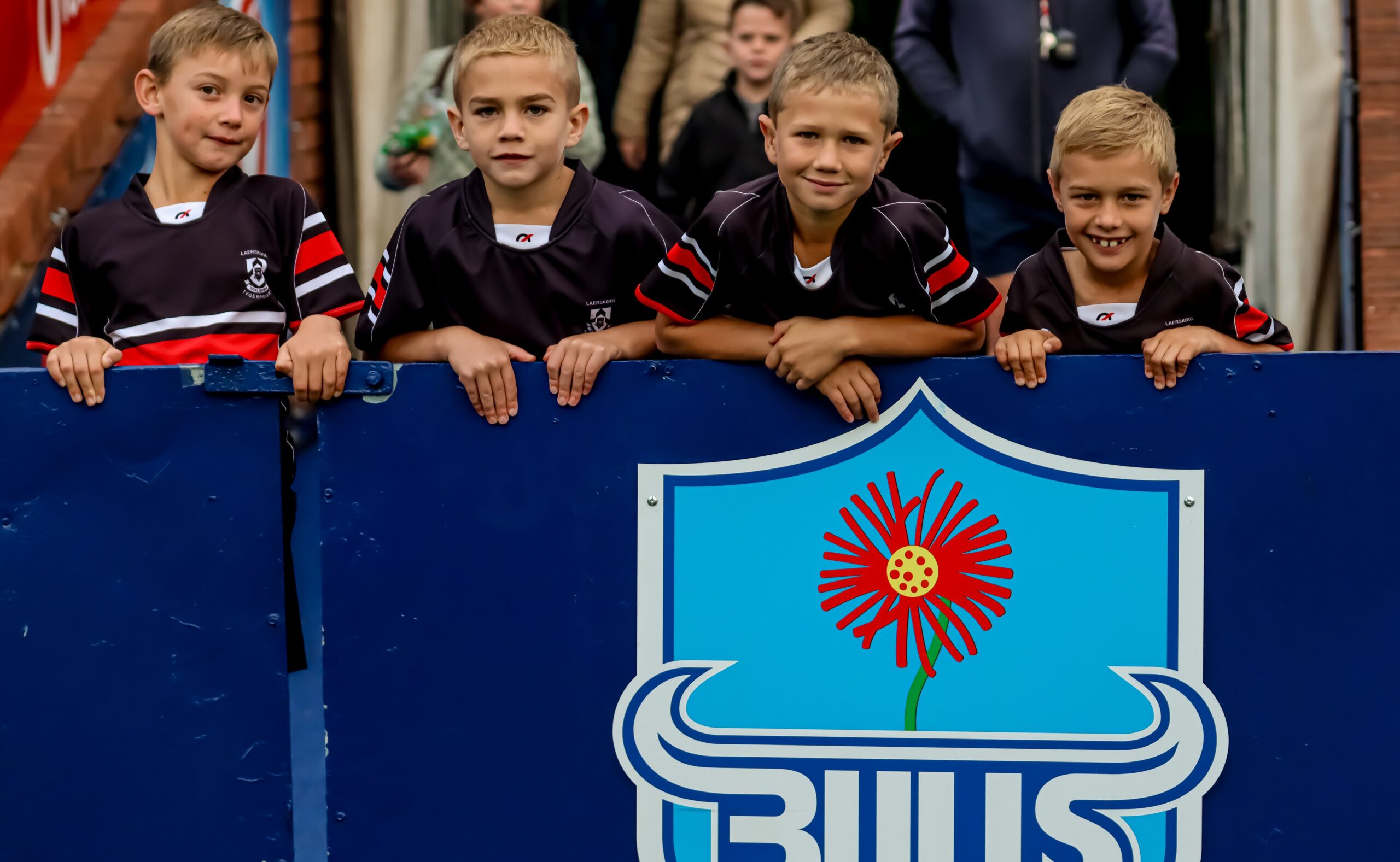 Blou Bulle se 31ste Bulletjiedag lok weer duisende | Rekord