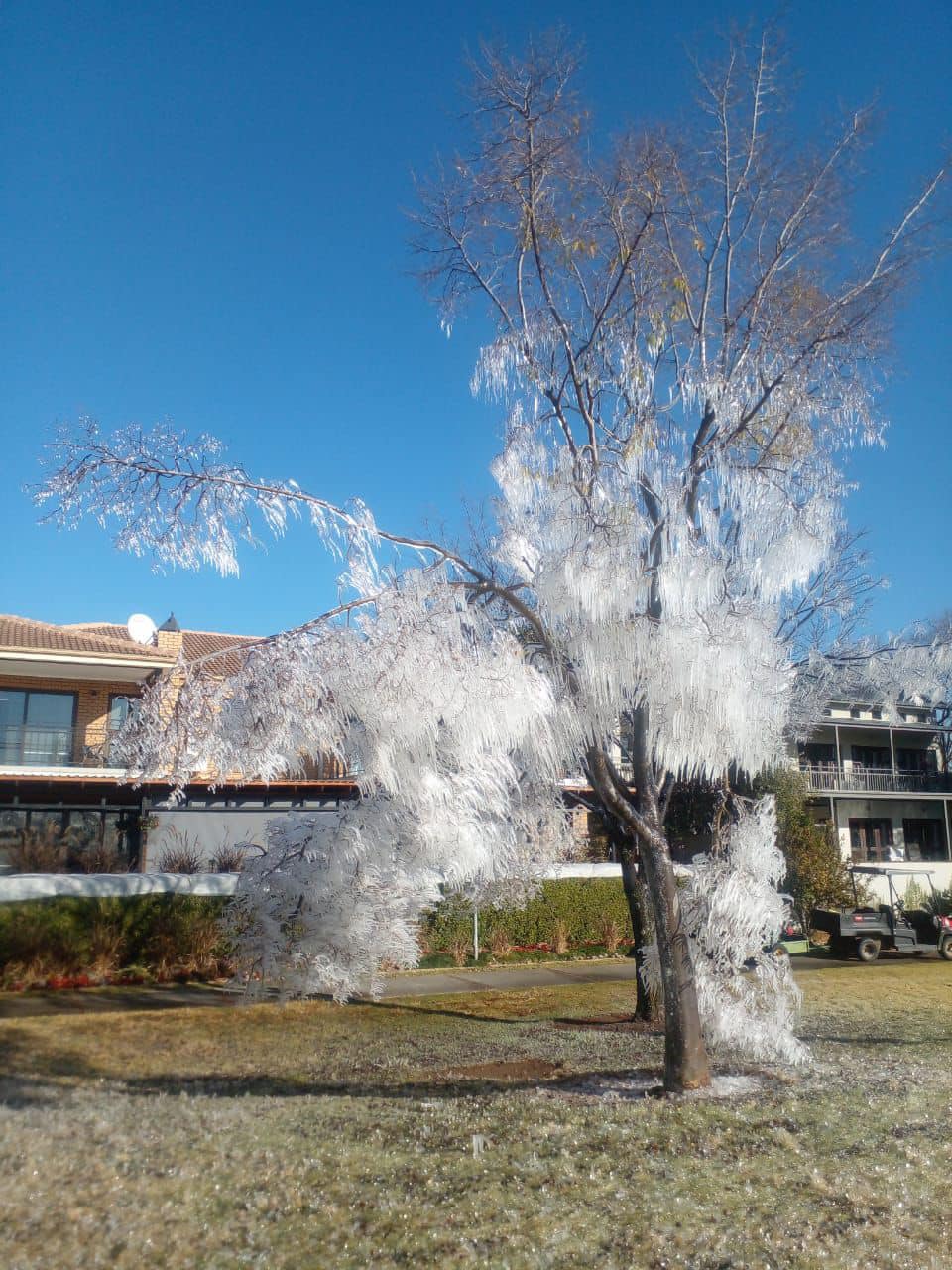 Photos: Icy cold winter wonderland in Pretoria | Rekord