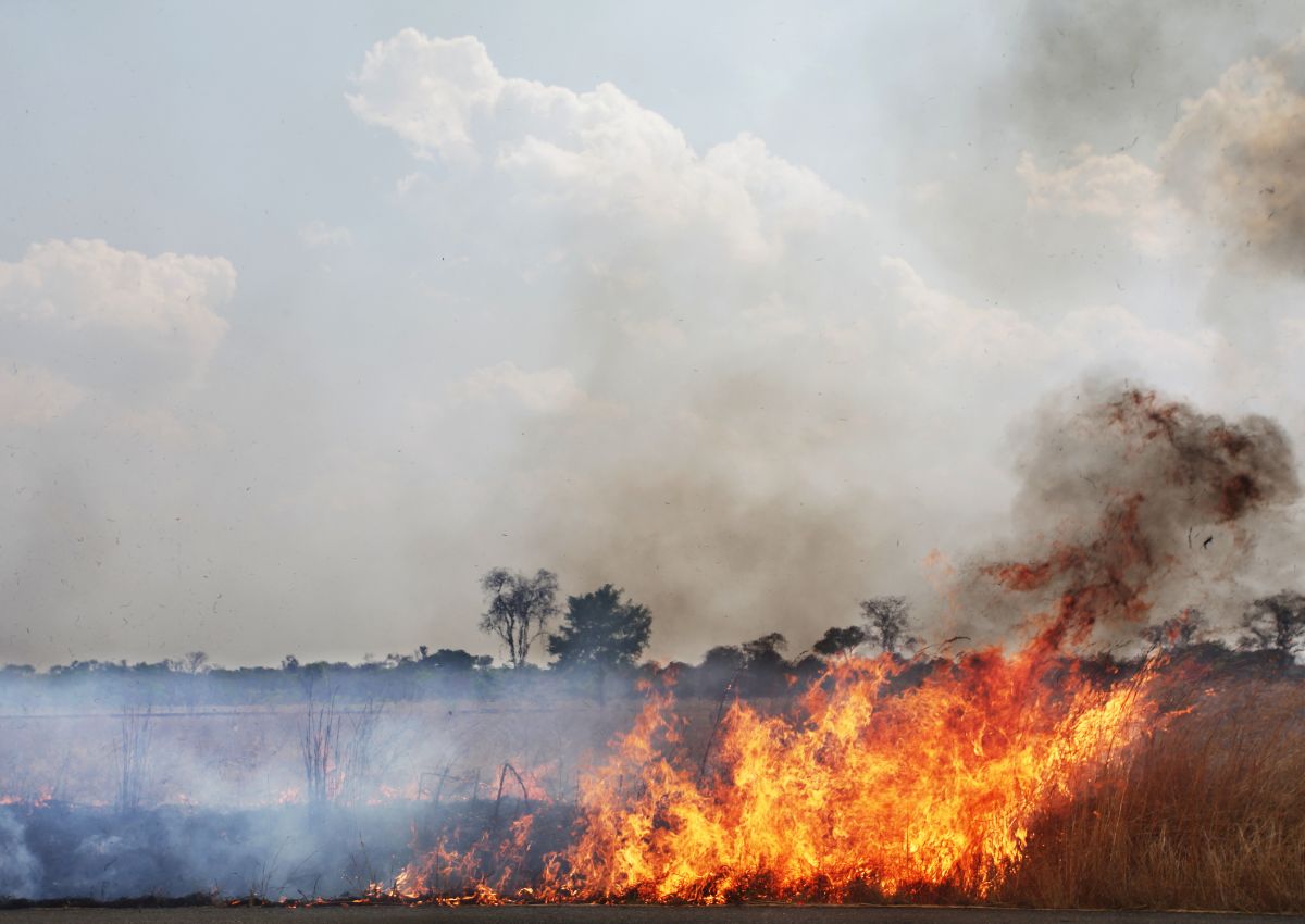 Weekend veld fires ravage properties across Tshwane | Rekord