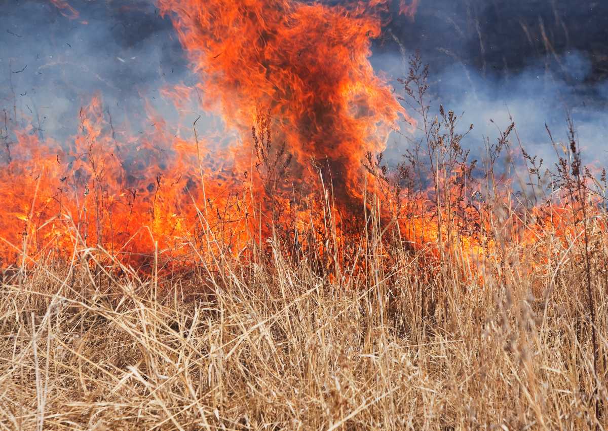 Two blazing veld fires in Pretoria West | Rekord