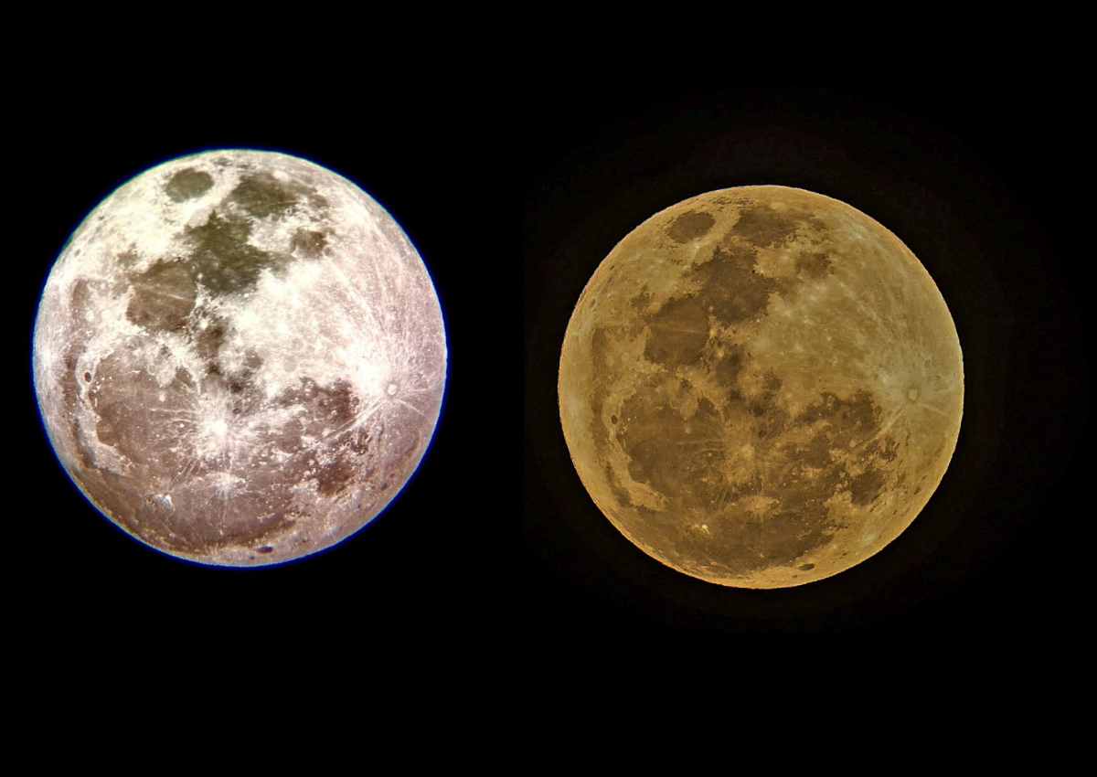 Look: Readers' photos highlight the beauty of rare blue super moon | Rekord