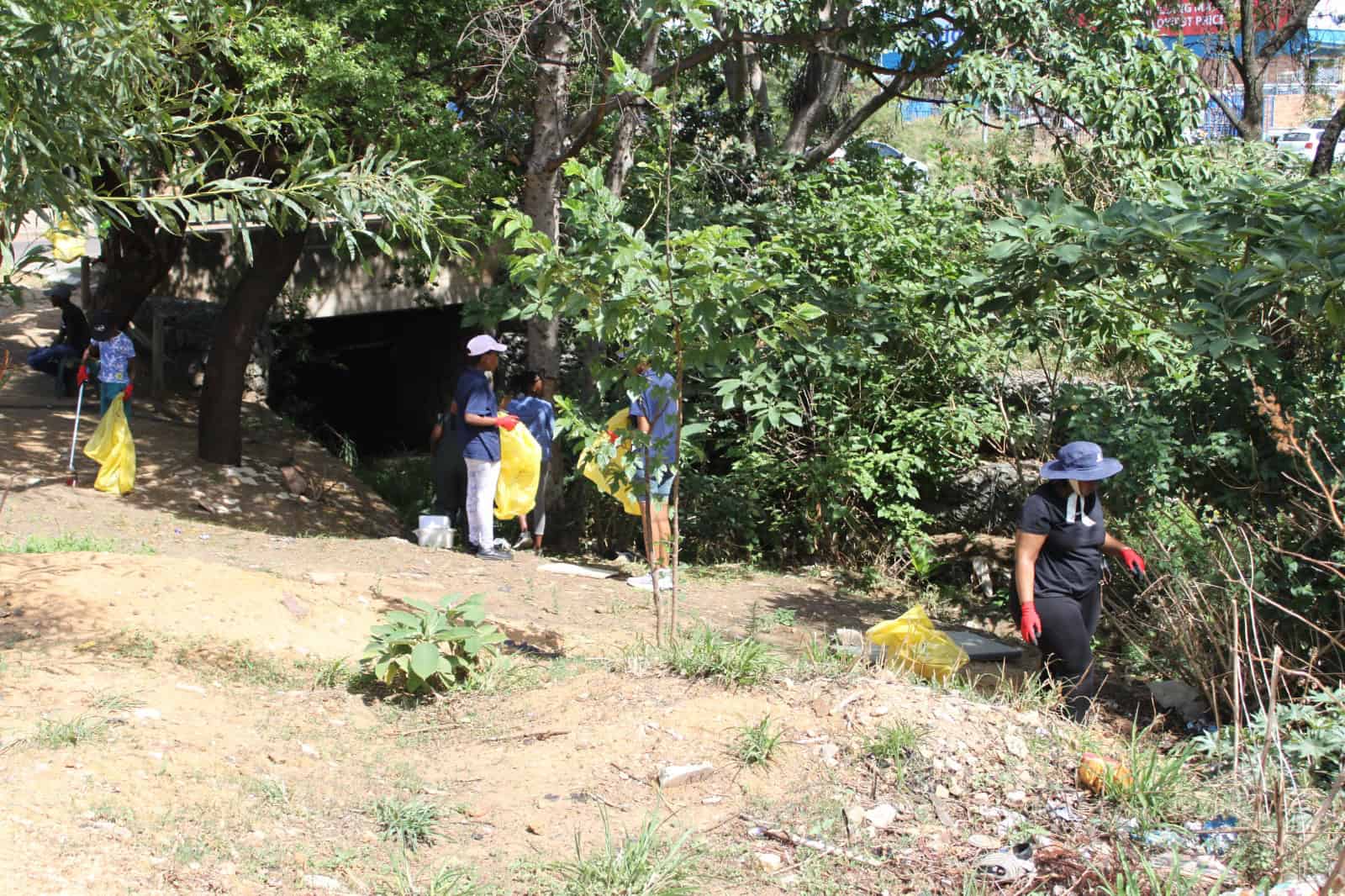 Volunteers restore life to a forgotten stream in the north | Rekord