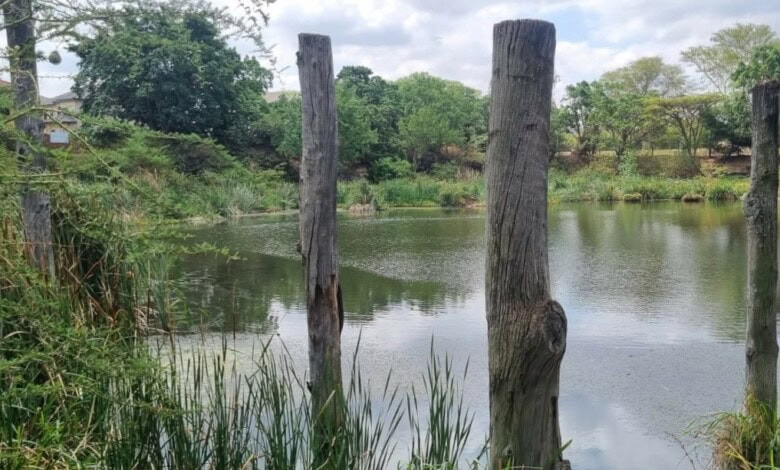 Nuwe bedeling vir Pretoria-Noord se geveerdes | Rekord