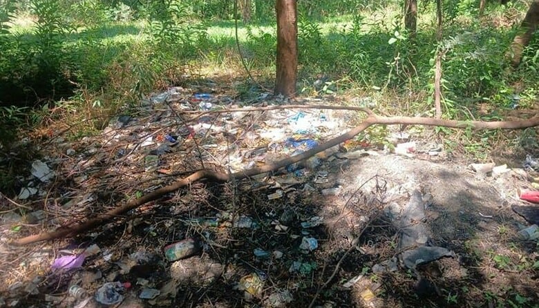 Vagrants behind rugby club in Silverton to face eviction | Rekord