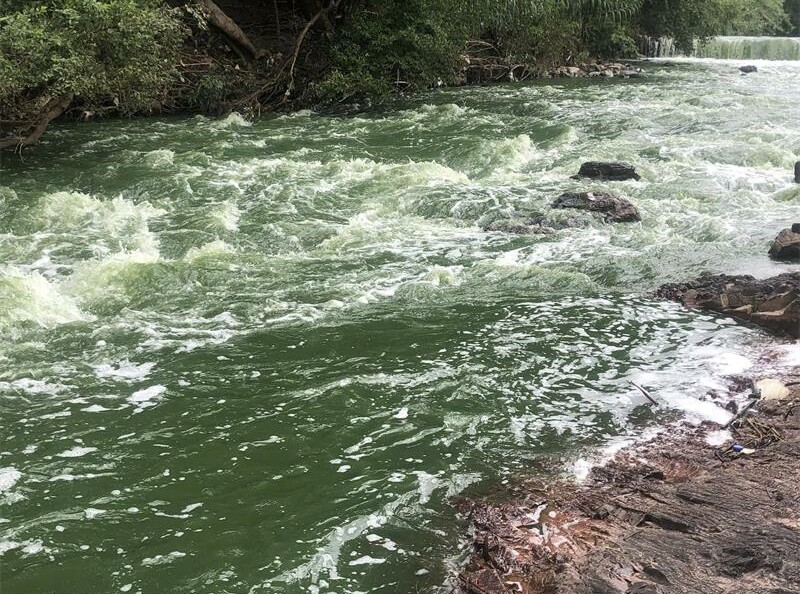 Warning over Hennops River pollution | Rekord