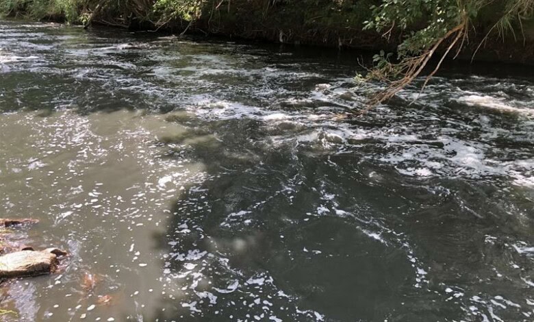 Warning over Hennops River pollution | Rekord