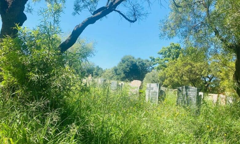 WATCH: Pretoria east cemetery in sorry state | Rekord