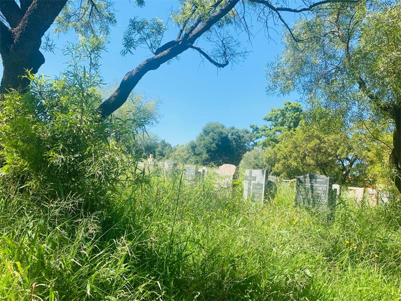 WATCH: Pretoria east cemetery in sorry state | Rekord