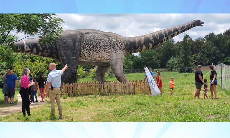 Dinosaur World Festival, Irene, Centurion 2025 | Rekord