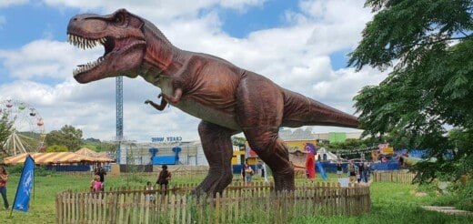 Dinosaur World Festival, Irene, Centurion 2025 | Rekord