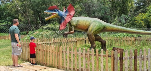 Dinosaur World Festival, Irene, Centurion 2025 | Rekord
