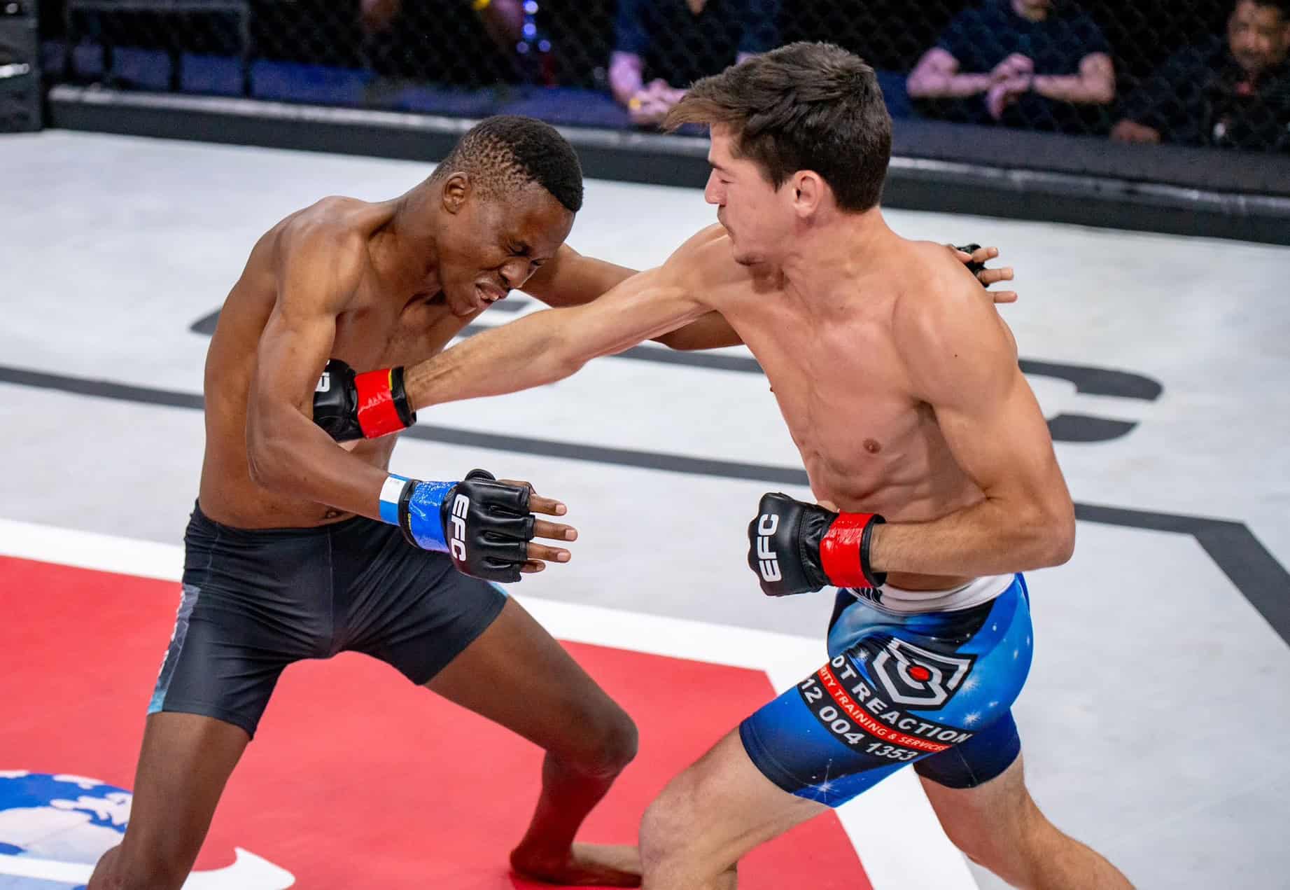 Rising MMA stars from Pretoria in action at Ultimate Fight Night in ...