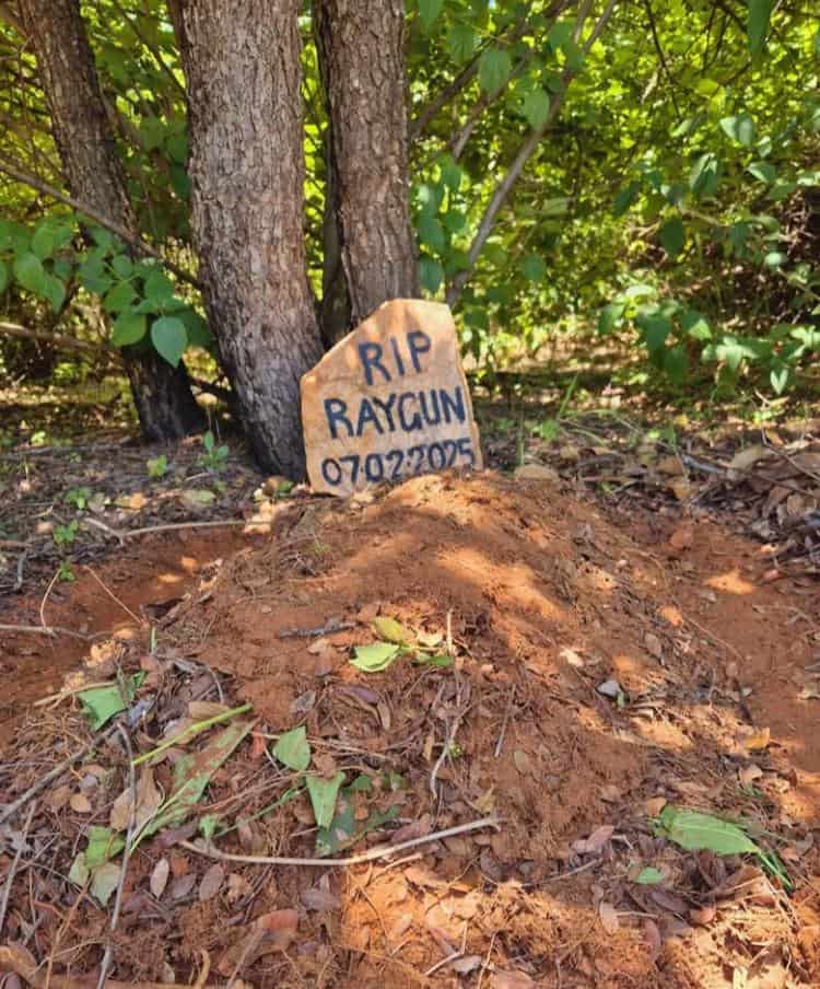 Raygun laid to rest as petition launched calling for justice for his ...