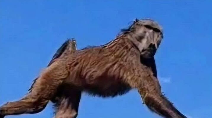 Private investigators hired to bring Raygun's killers to book | Rekord