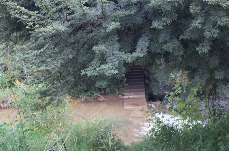 Tshwane to address sewage spillages into Moreleta Spruit | Rekord