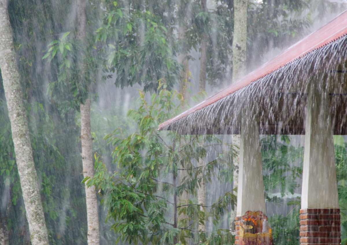 Rain of more than 30-50mm expected in Pretoria this week | Rekord