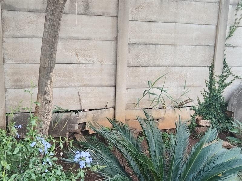 Moot-inwoners veg verbete teen rotte en lang gras | Rekord