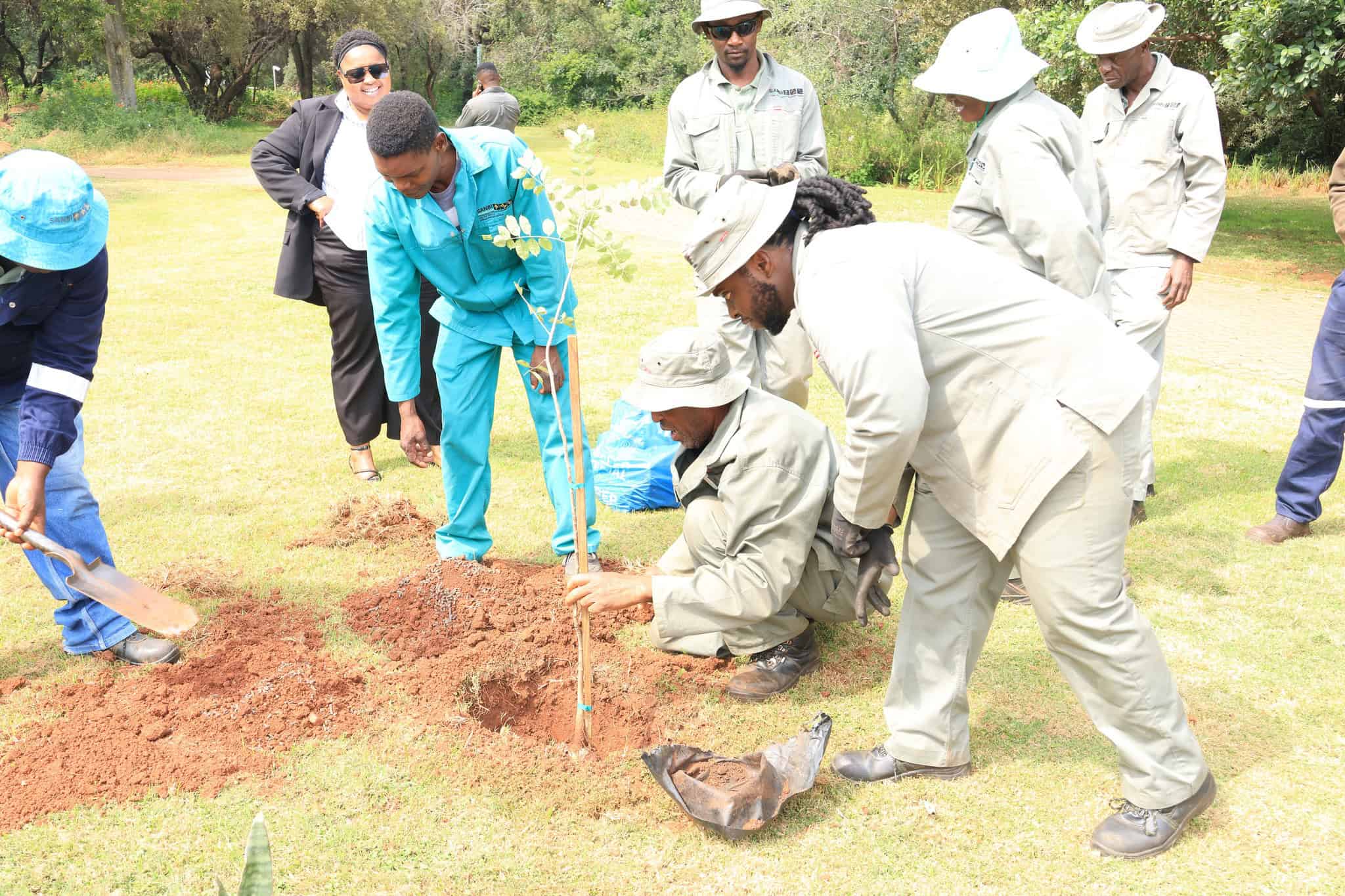 Sanbi commemorates Indigenous Tree Day with partners | Rekord