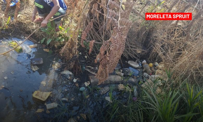 Sewage spills into Moreleta Spruit four months on | Rekord