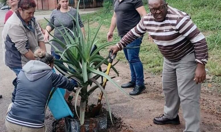 'Planting trees in potholes protest constitutes vandalism' | Rekord