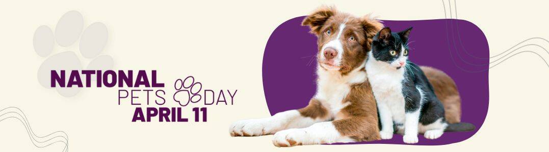 National Pets Day - 11 April 2025 | Rekord